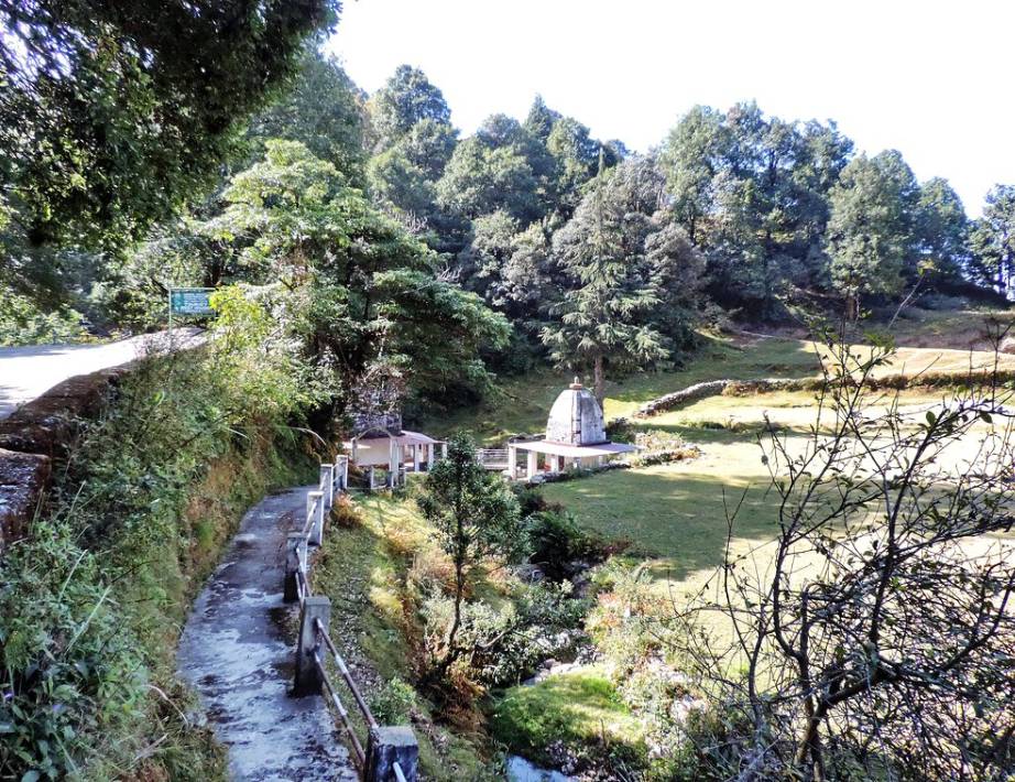 Binsar Wildlife Sanctuary, Timings, Entry Fee & Activities