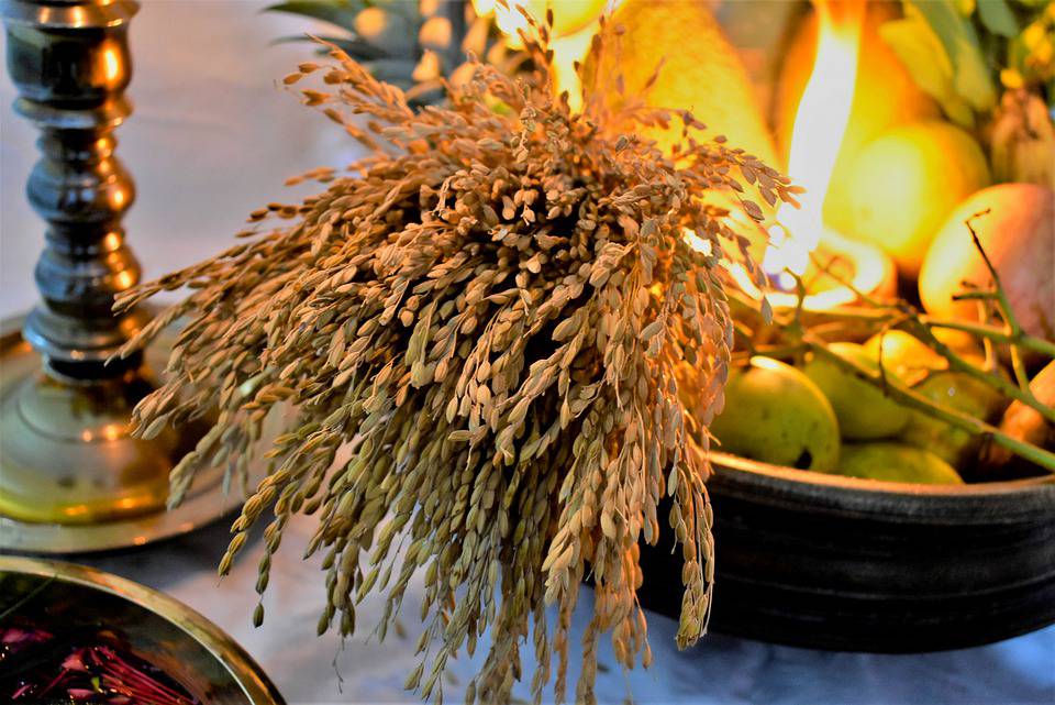 Vishu Festival, Importance, Ritual Procedure & Legend