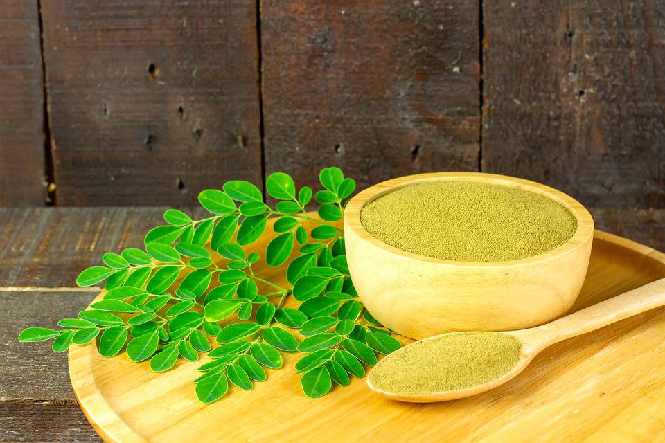 Moringa Oleifera, Uses, Benefits & Names | Sahajan Tree
