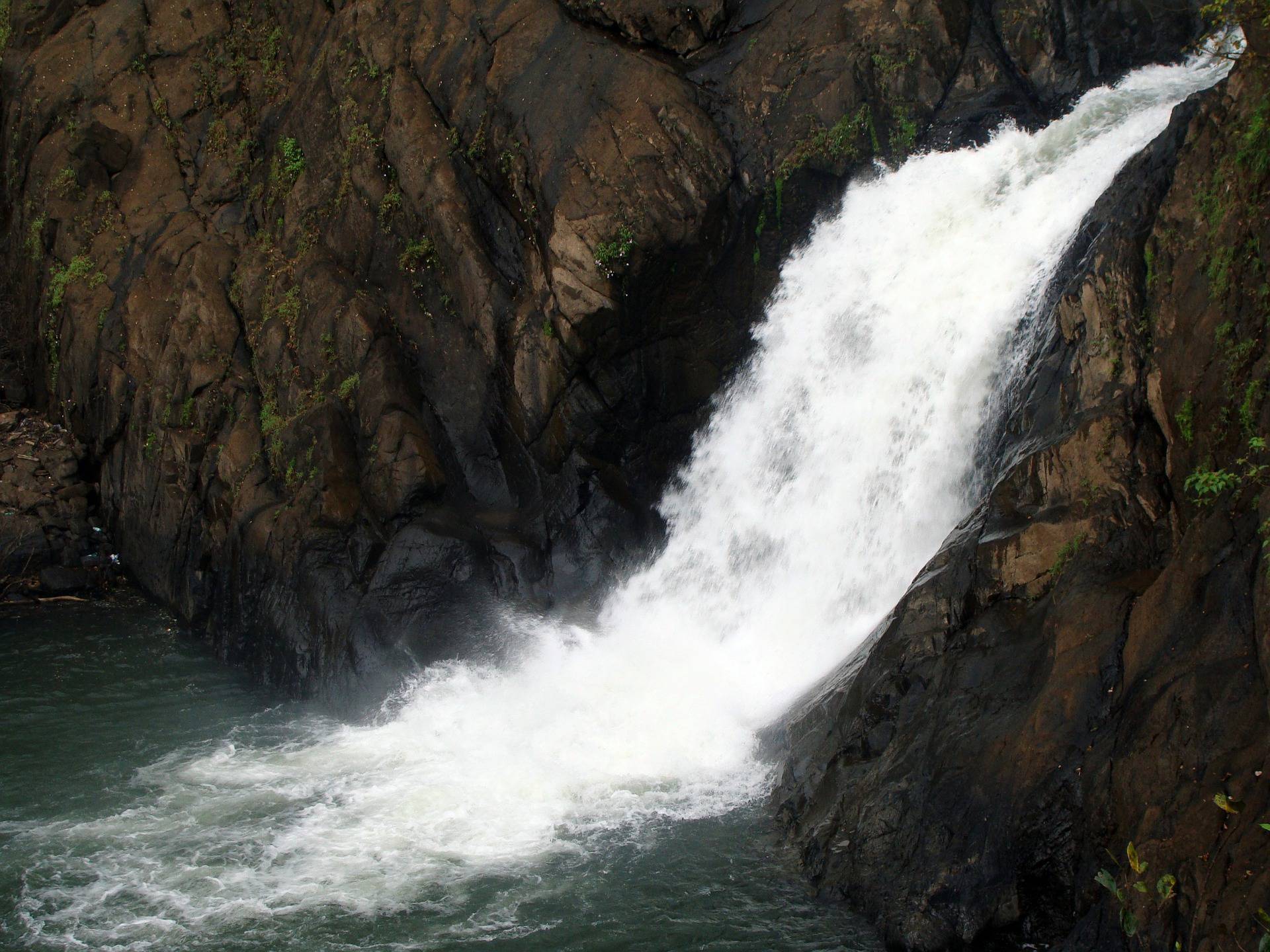 Dudhsagar Waterfalls in Goa, how to reach, trek, distance. photos