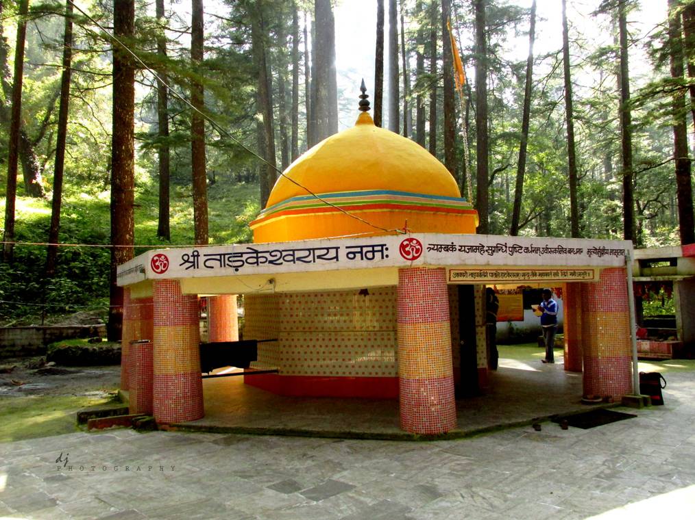 Tarkeshwar Mahadev Temple Nainital (Uttarakhand), timings, history