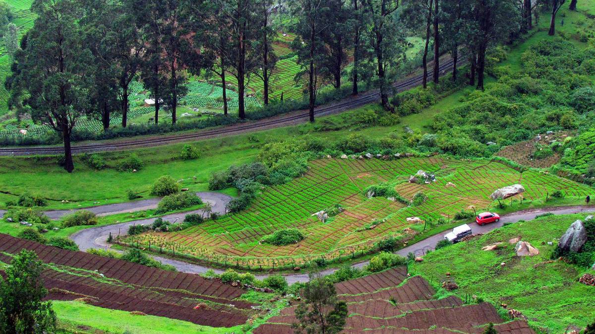 Ooty Tourism Places To Visit In Ooty Travel Guide Tours Photos