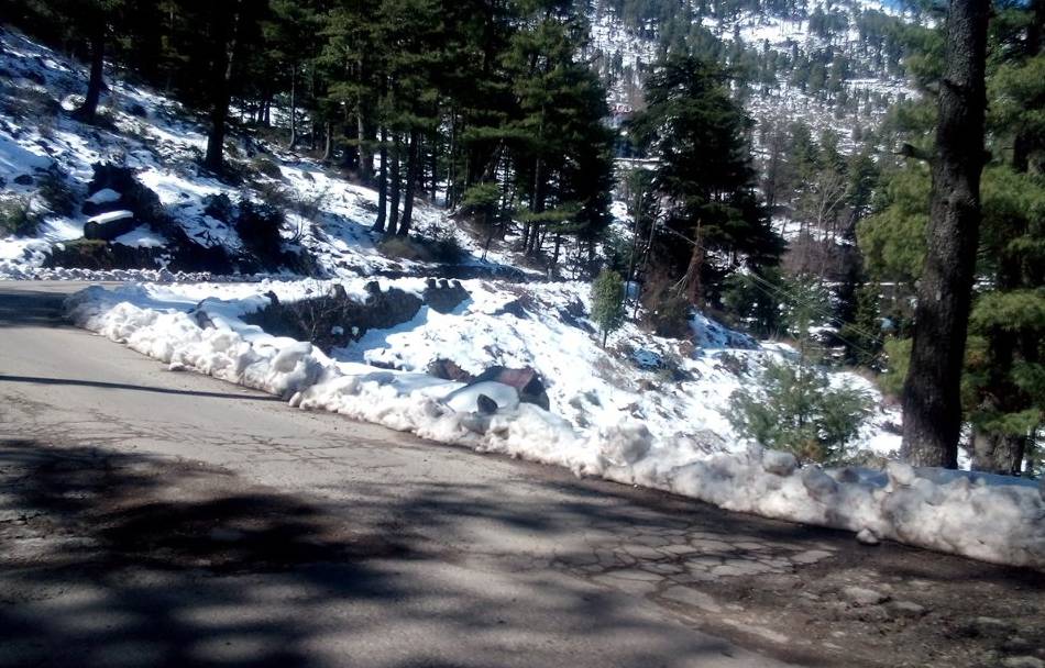 Patnitop Tourism - Places to visit in Patnitop, Travel guide, best hill ...