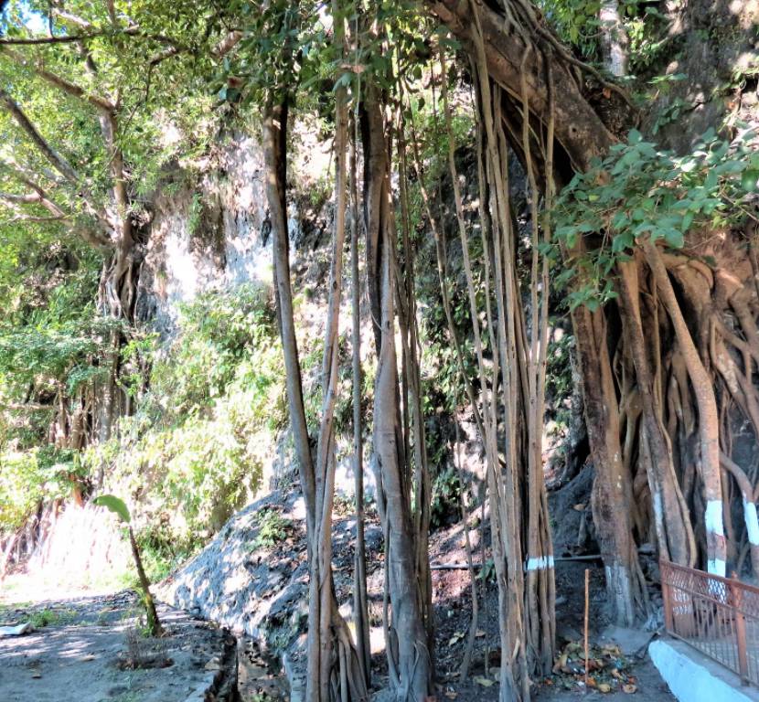 Vashistha Cave Rishikesh, timings, history, meditation, yoga, distance